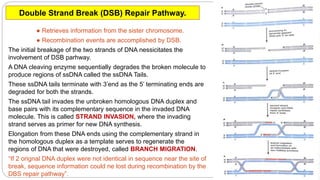 DNA DAMAGE AND REPAIR.pptx