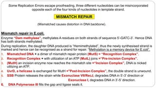 DNA DAMAGE AND REPAIR.pptx