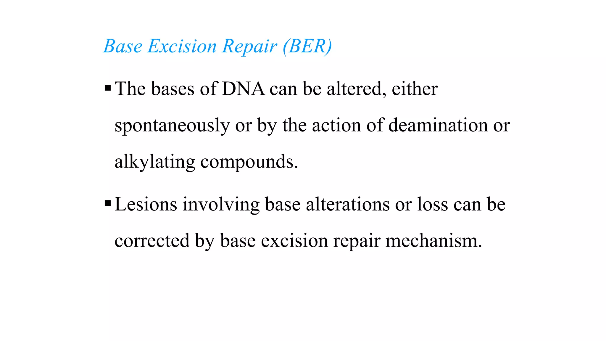 DNA Damage and Repair.pptx