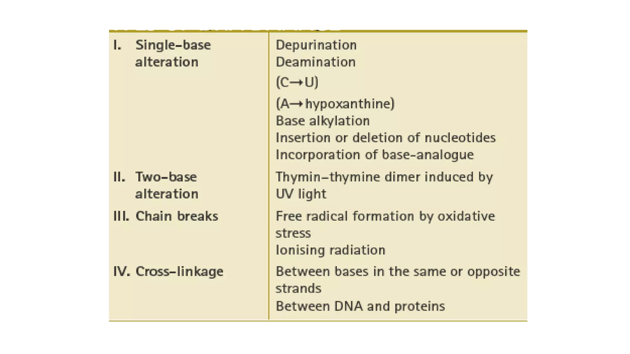 DNA Damage and Repair.pptx