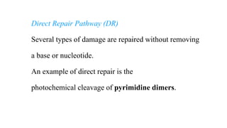 DNA Damage and Repair.pptx