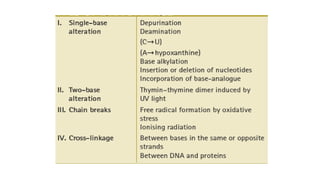 DNA Damage and Repair.pptx