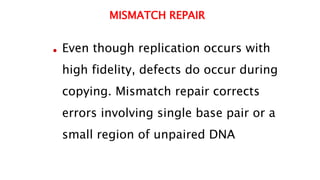 DNA Damage and Repair.pptx