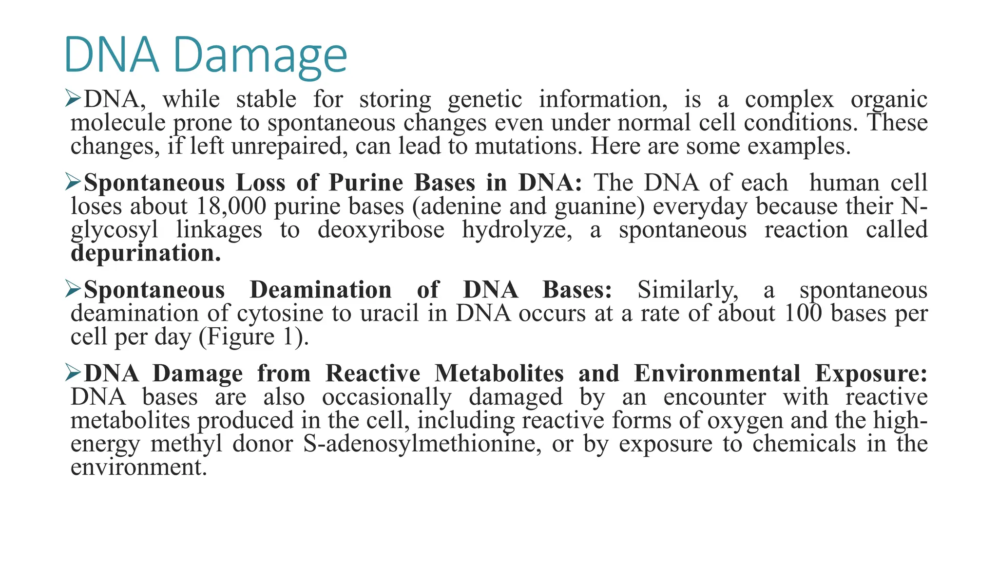 DNA damage and repair.pptx DNA repair Mechanism DNa repair Mechanism | PPT