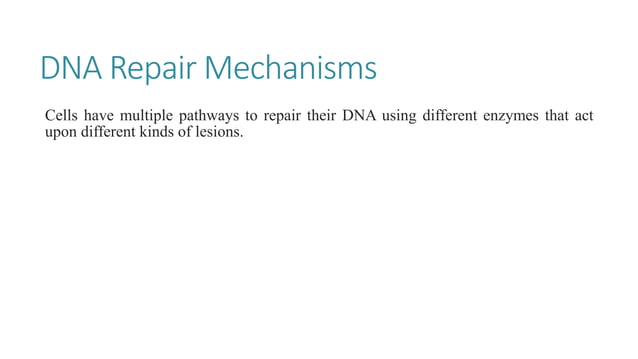 DNA damage and repair.pptx DNA repair Mechanism DNa repair Mechanism | PPT