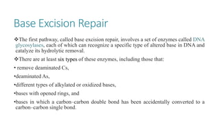 DNA damage and repair.pptx DNA repair Mechanism DNa repair Mechanism | PPT