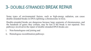 DNA damage and repair.pptx DNA repair Mechanism DNa repair Mechanism | PPT
