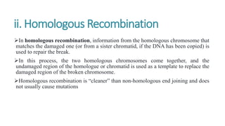 DNA damage and repair.pptx DNA repair Mechanism DNa repair Mechanism | PPT