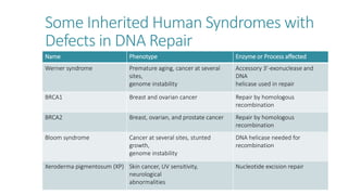 DNA damage and repair.pptx DNA repair Mechanism DNa repair Mechanism | PPTX