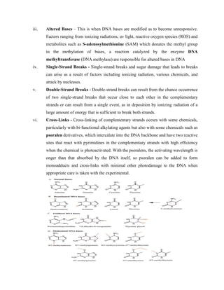DNA DAMAGE AND REPAIR MOLECULAR CELL BIOLOGY | PDF