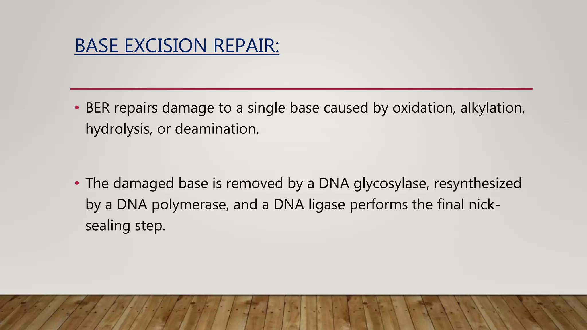 DNA damage and_repair | PPTX