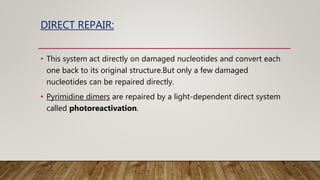 DNA damage and_repair | PPTX