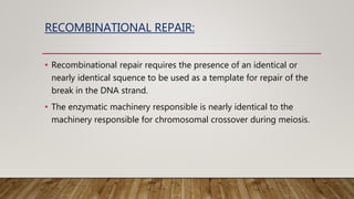 DNA damage and_repair | PPTX