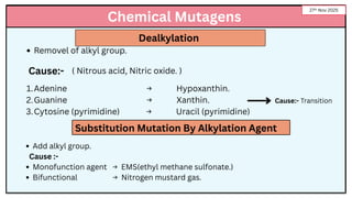 DNA Damage and Repair Mechanisms | Presentation by Sameer Khan | PDF