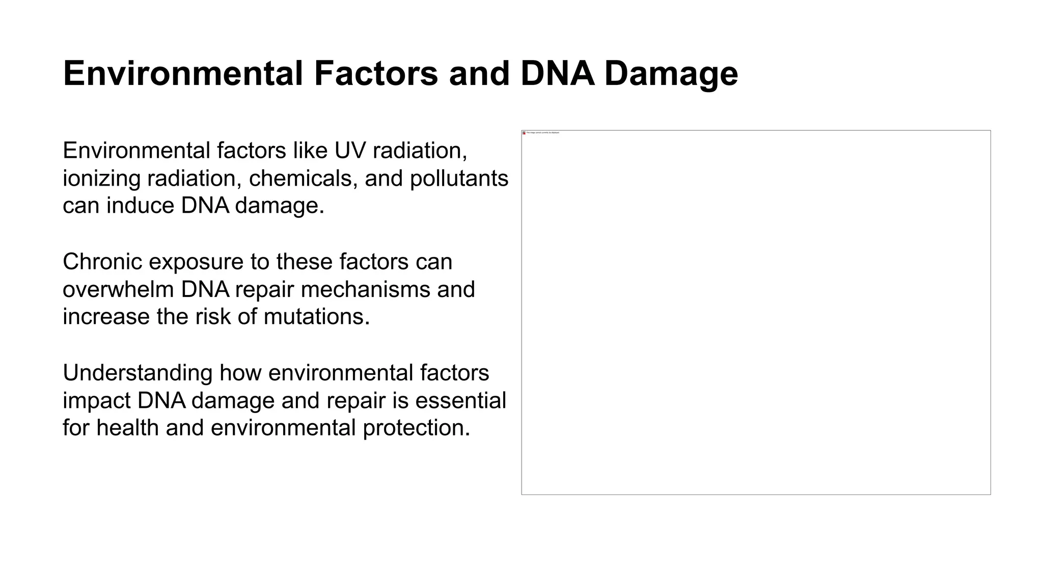 DNA DAMAGE AND REPAIR MECHANISM (M.sc Botany).pptx