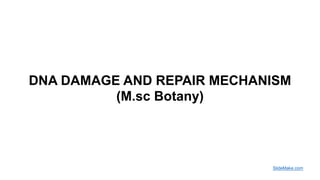 DNA DAMAGE AND REPAIR MECHANISM (M.sc Botany).pptx