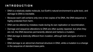 DNA damage and mismatch repair, replication stress, and the DNA damage ...
