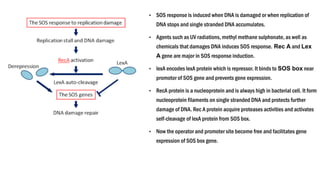 DNA damage and mismatch repair, replication stress, and the DNA damage ...