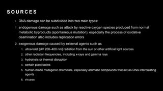DNA damage and mismatch repair, replication stress, and the DNA damage ...