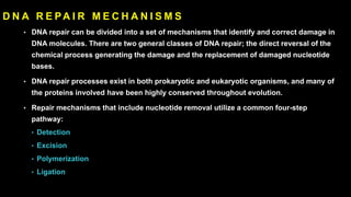 DNA damage and mismatch repair, replication stress, and the DNA damage ...