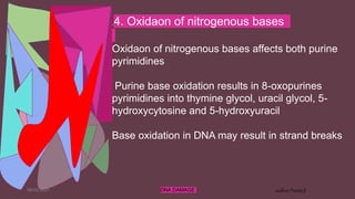 DNA damage causes and types remedial class | PPT
