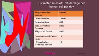 DNA damage causes and types remedial class | PPT