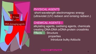 DNA damage causes and types remedial class | PPT