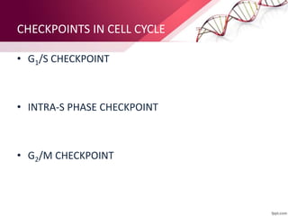 Dna damage checkpoints | PPTX