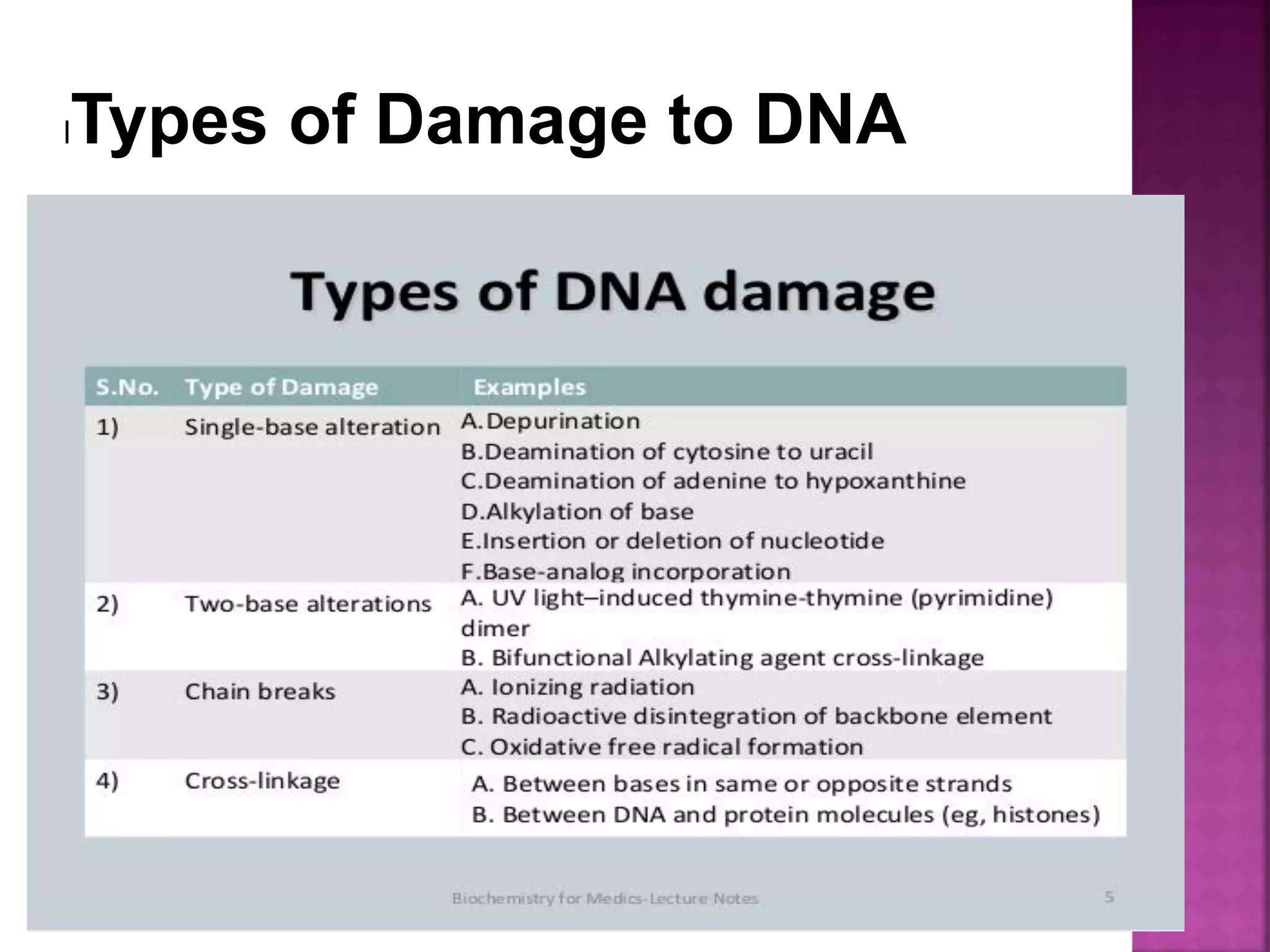 Dna damage | PDF