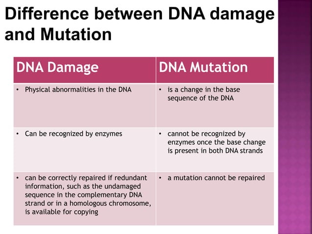 Dna damage | PPT