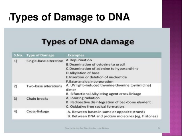 Dna damage