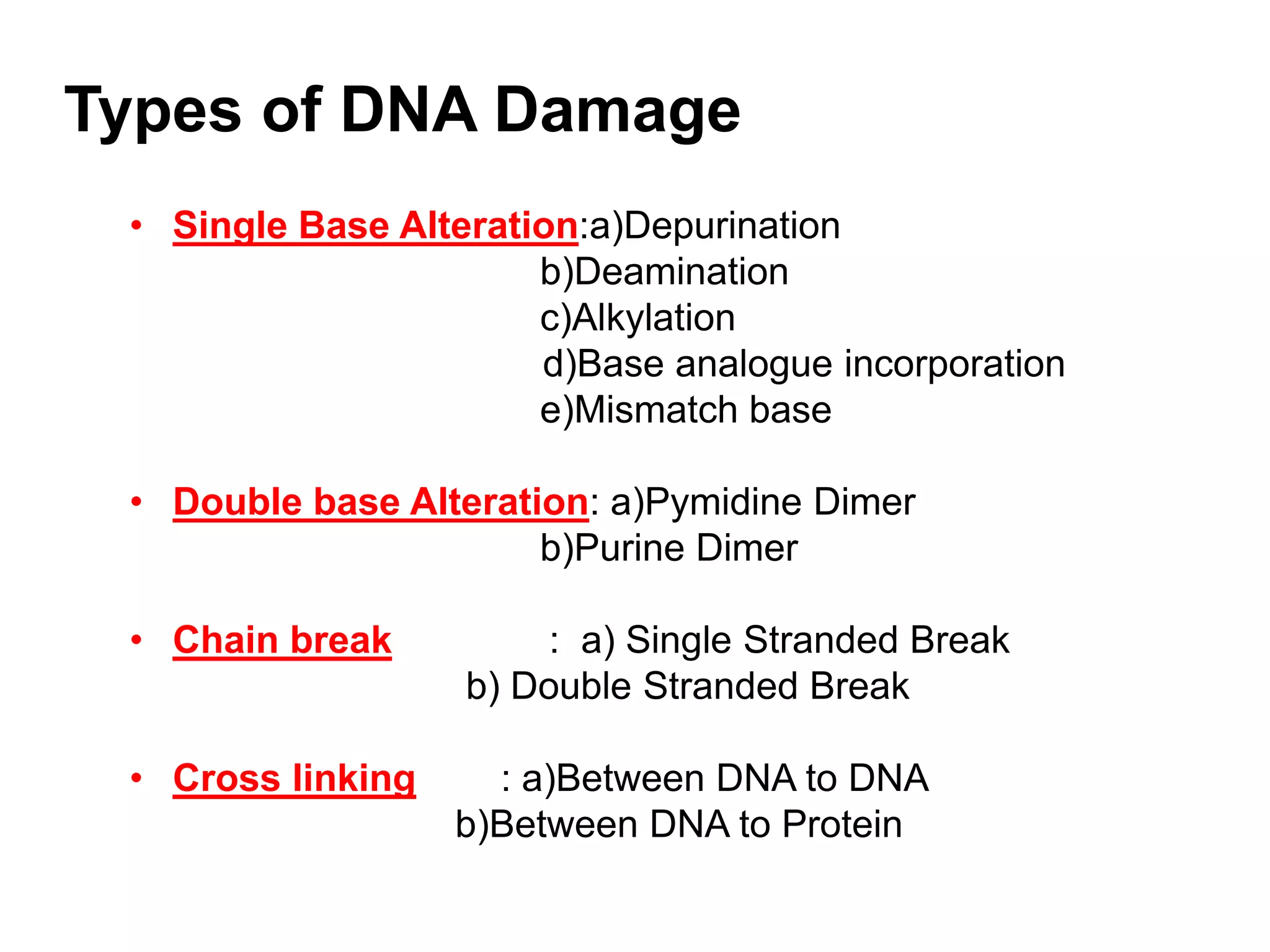 Dna damage | PDF