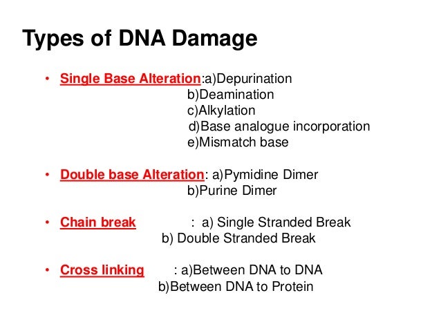 Dna damage
