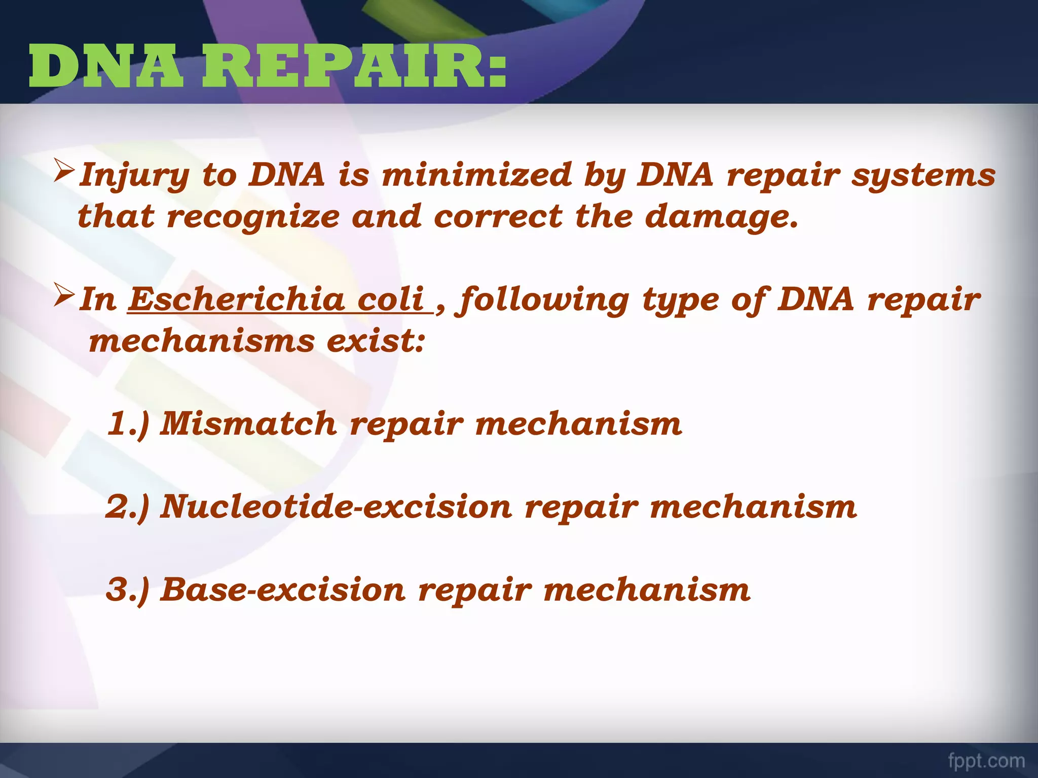 DNA damage and repair mechanism | PPT