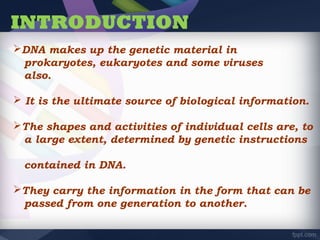 DNA damage and repair mechanism | PPT