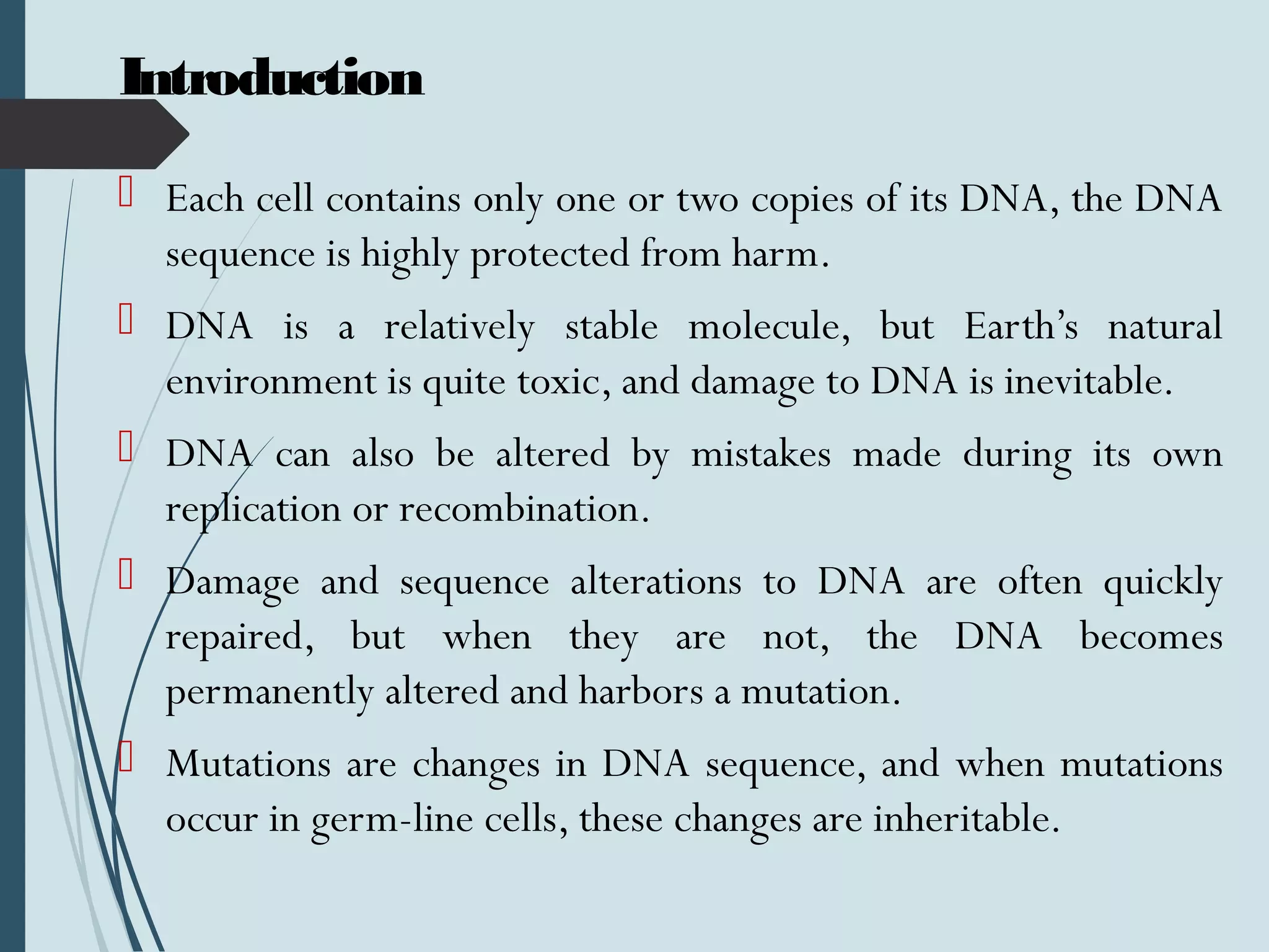 DNA damage repair | PPT