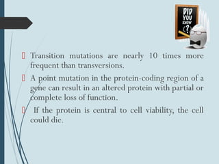 DNA damage repair | PPT