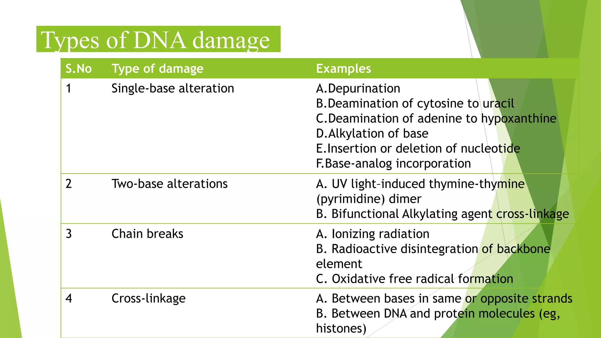 Dna damage & repair mechanism | PPTX