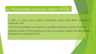 Dna damage & repair mechanism | PPTX