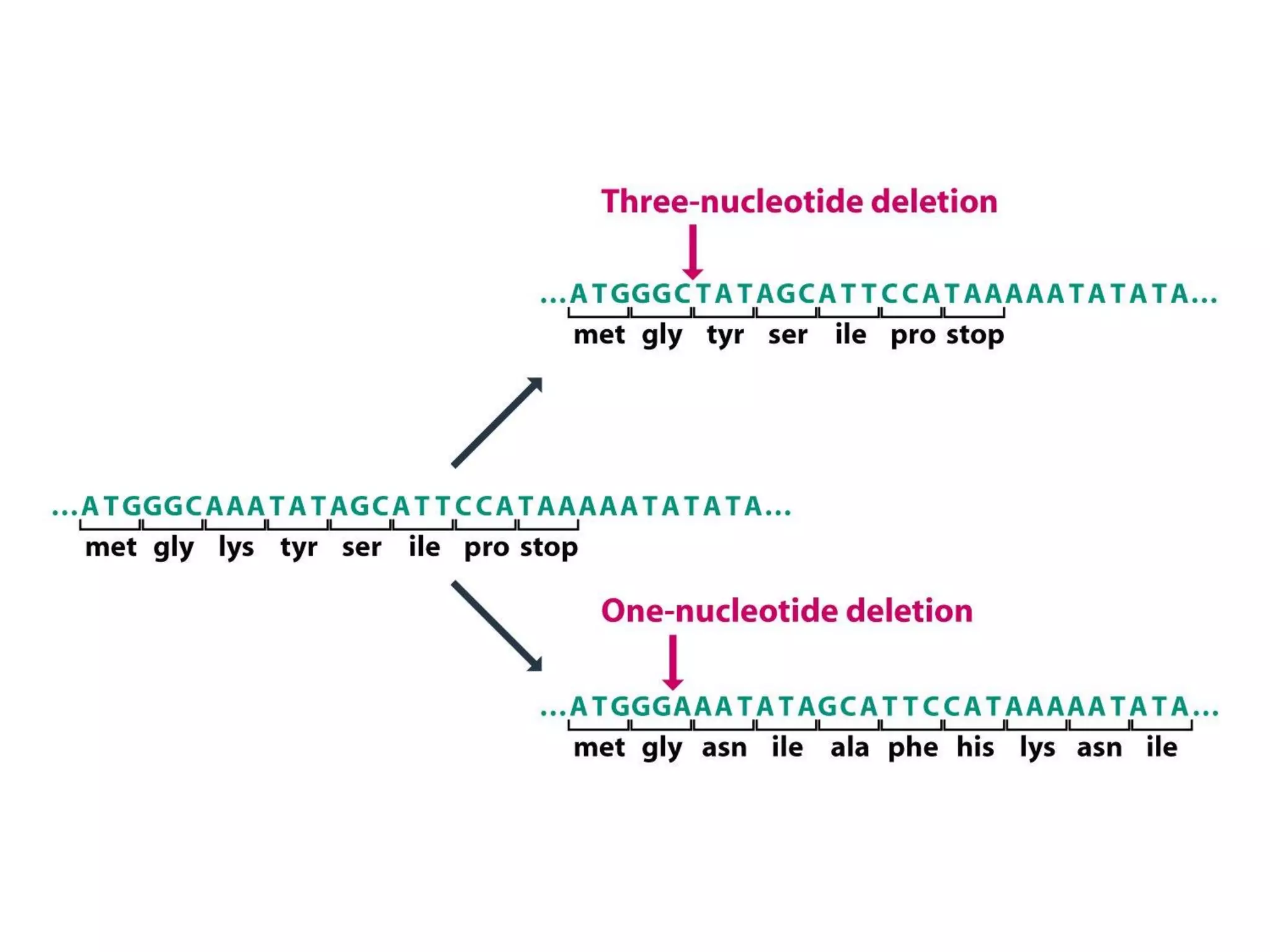 DNA Damage Repair mechanisms.pdf