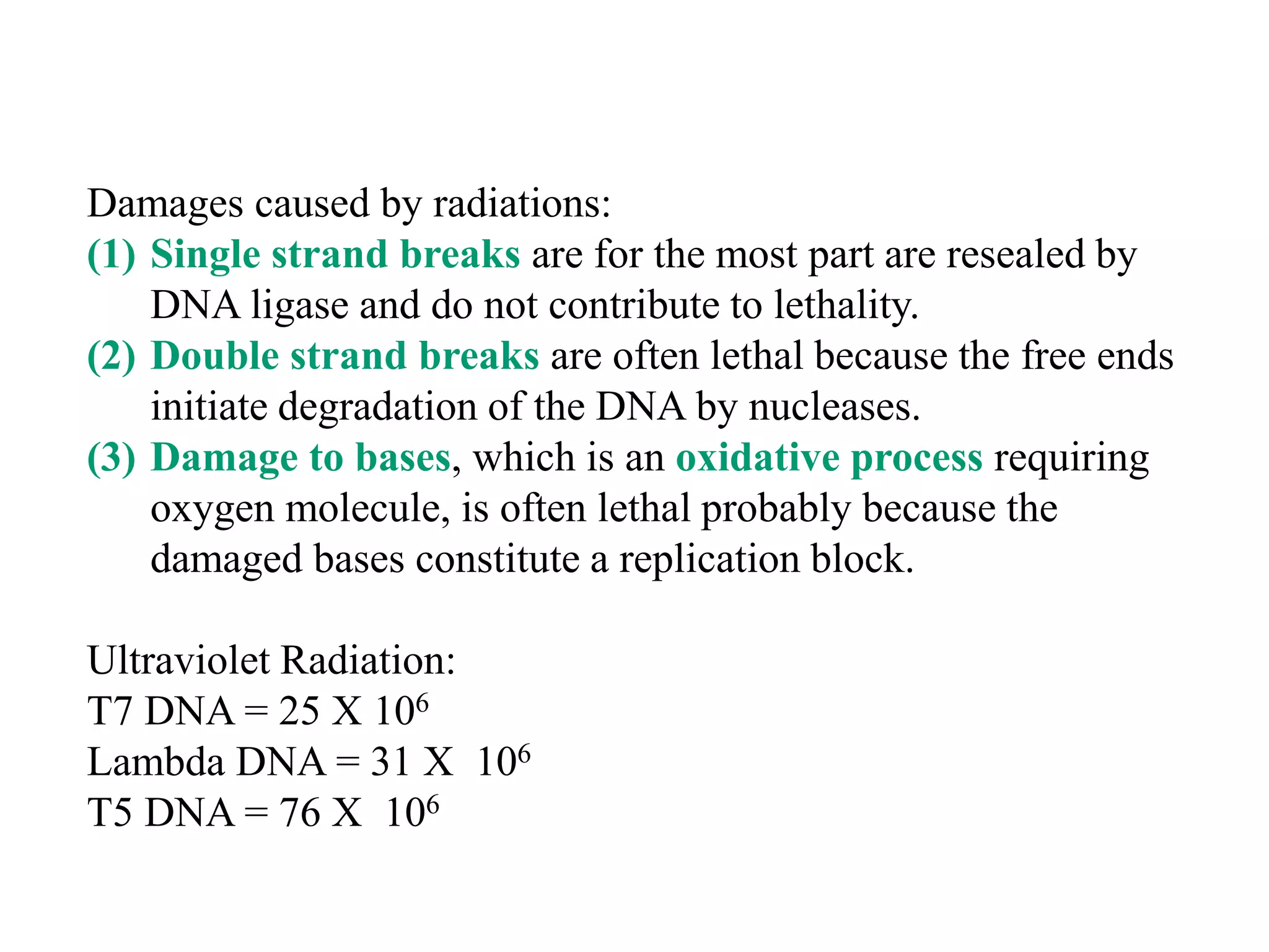 DNA Damage Repair mechanisms.pdf
