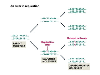 DNA Damage Repair mechanisms.pdf
