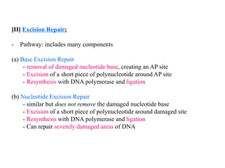 DNA Damage Repair mechanisms.pdf