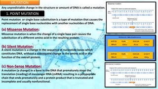 DNA DAMAGES & MUTATION.pptx