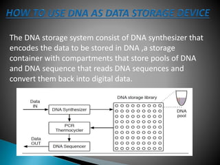 DNA as memory storage device | PPTX