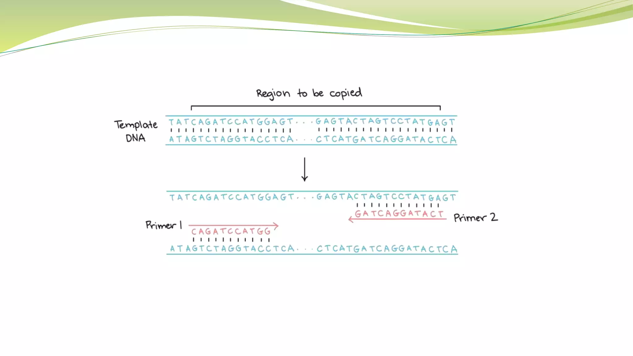 Dna data storage | PPTX
