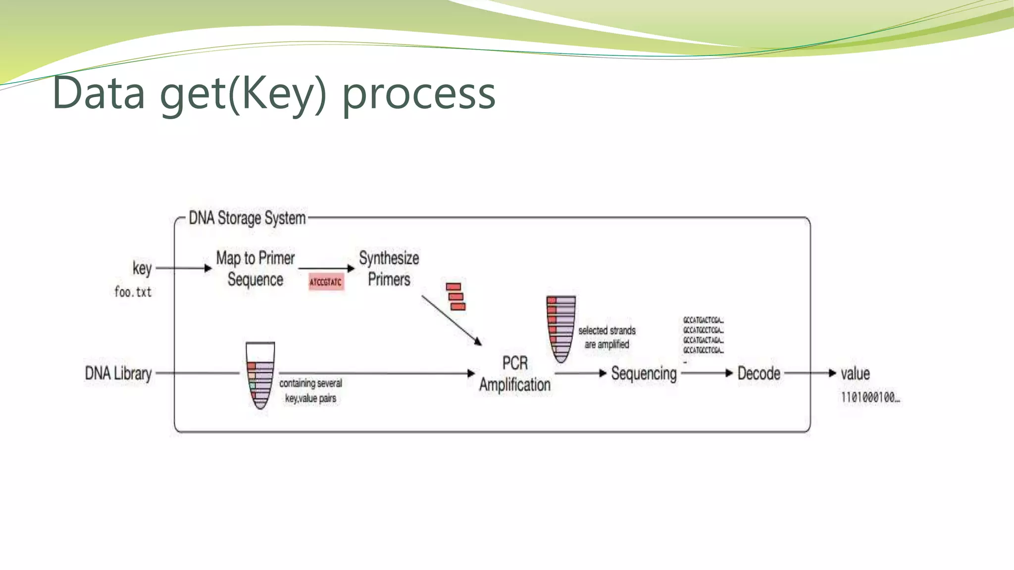 Dna data storage | PPTX