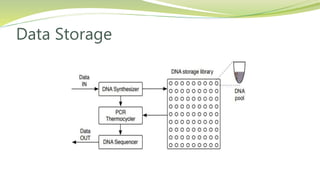 Dna data storage | PPTX