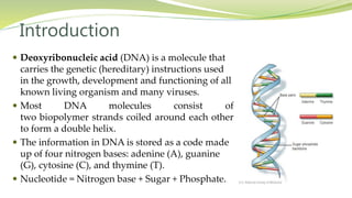 Dna data storage | PPTX