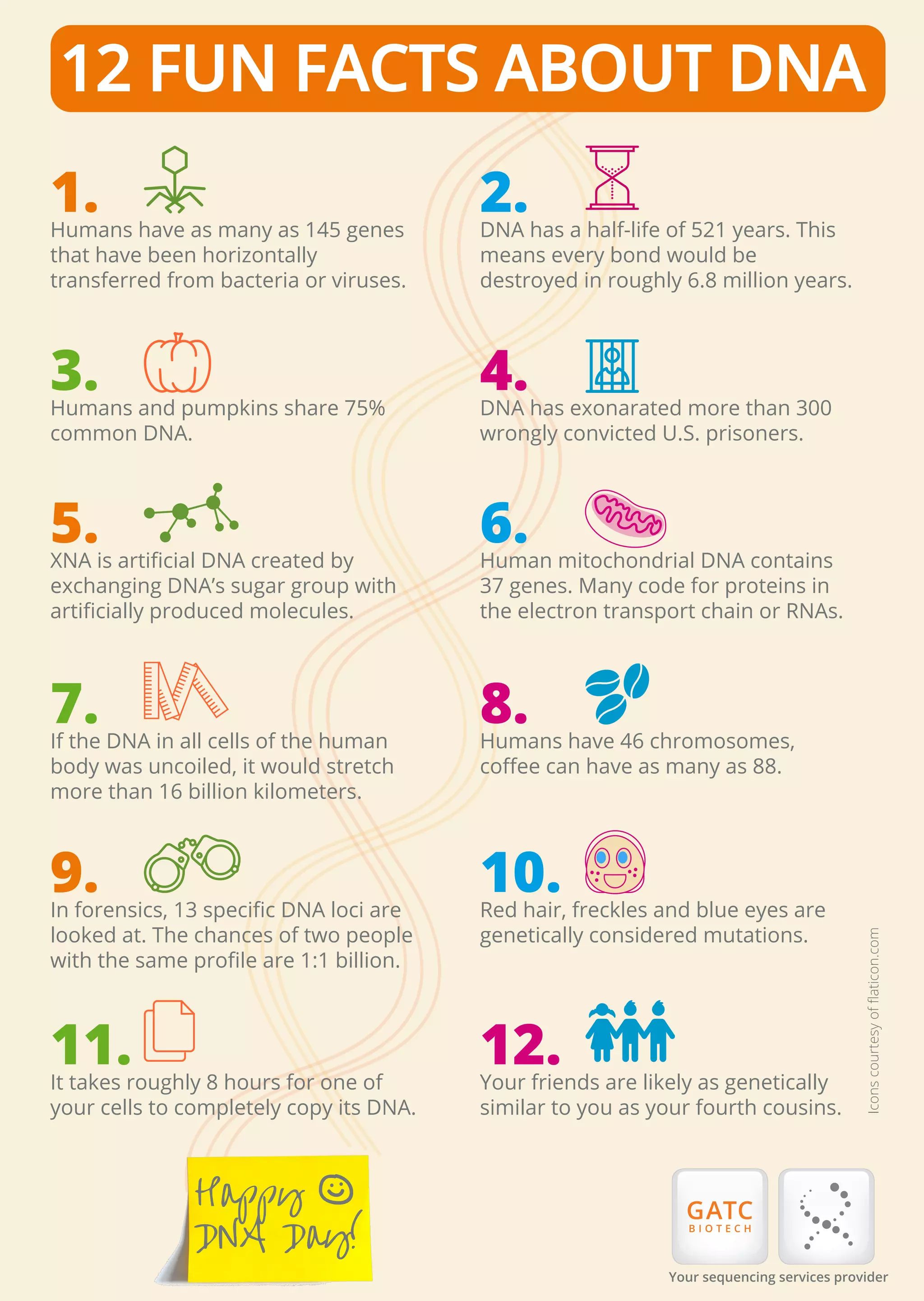 12 DNA Fun Facts | PDF